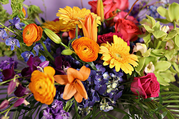 Find Summer Flowers, and Home and Garden Goods at Bachman's in Minnesota