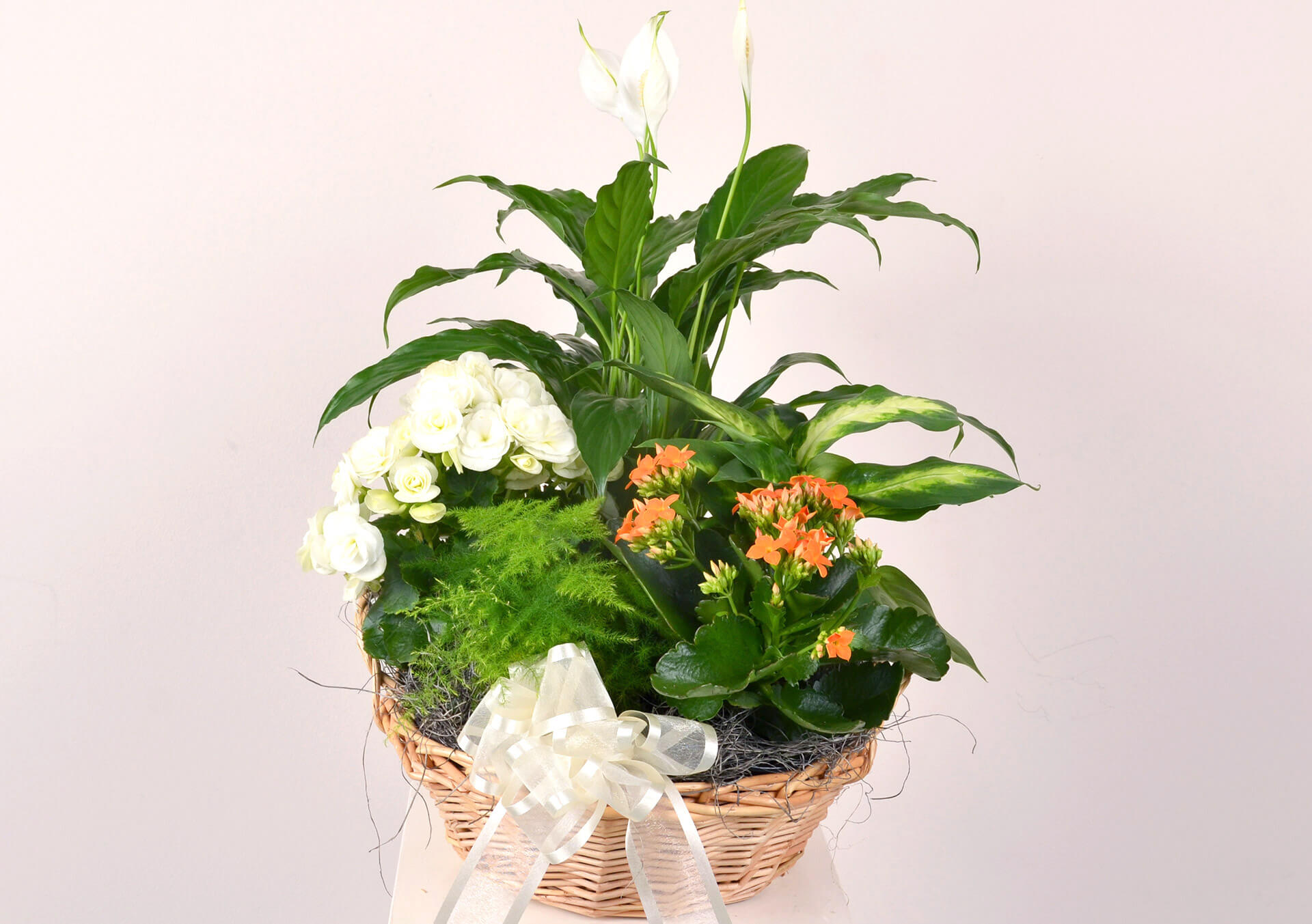 Send Minneapolis Funeral Flowers & Sympathy Gifts Online | Bachman's ...