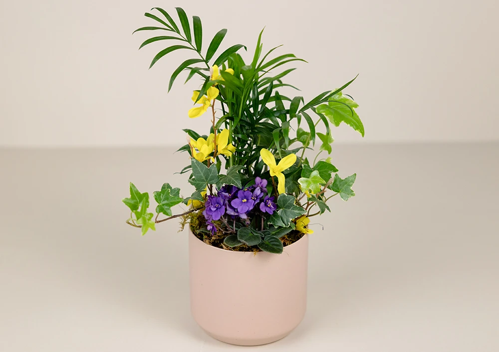 Specialty Planters + Basket Arrangements in Minnesota at Bachman's