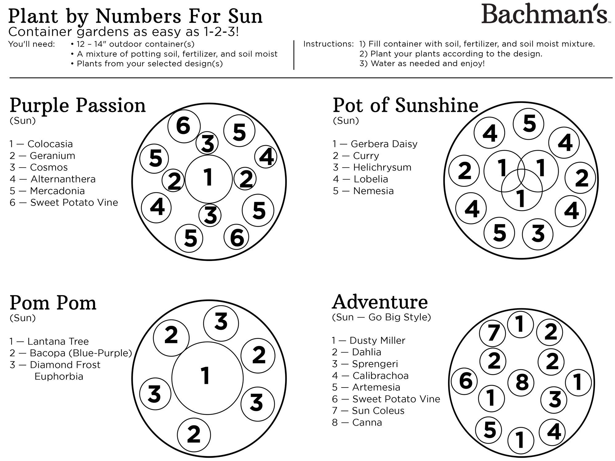 Plant By Numbers Container Gardens, Bachman's Minnesota