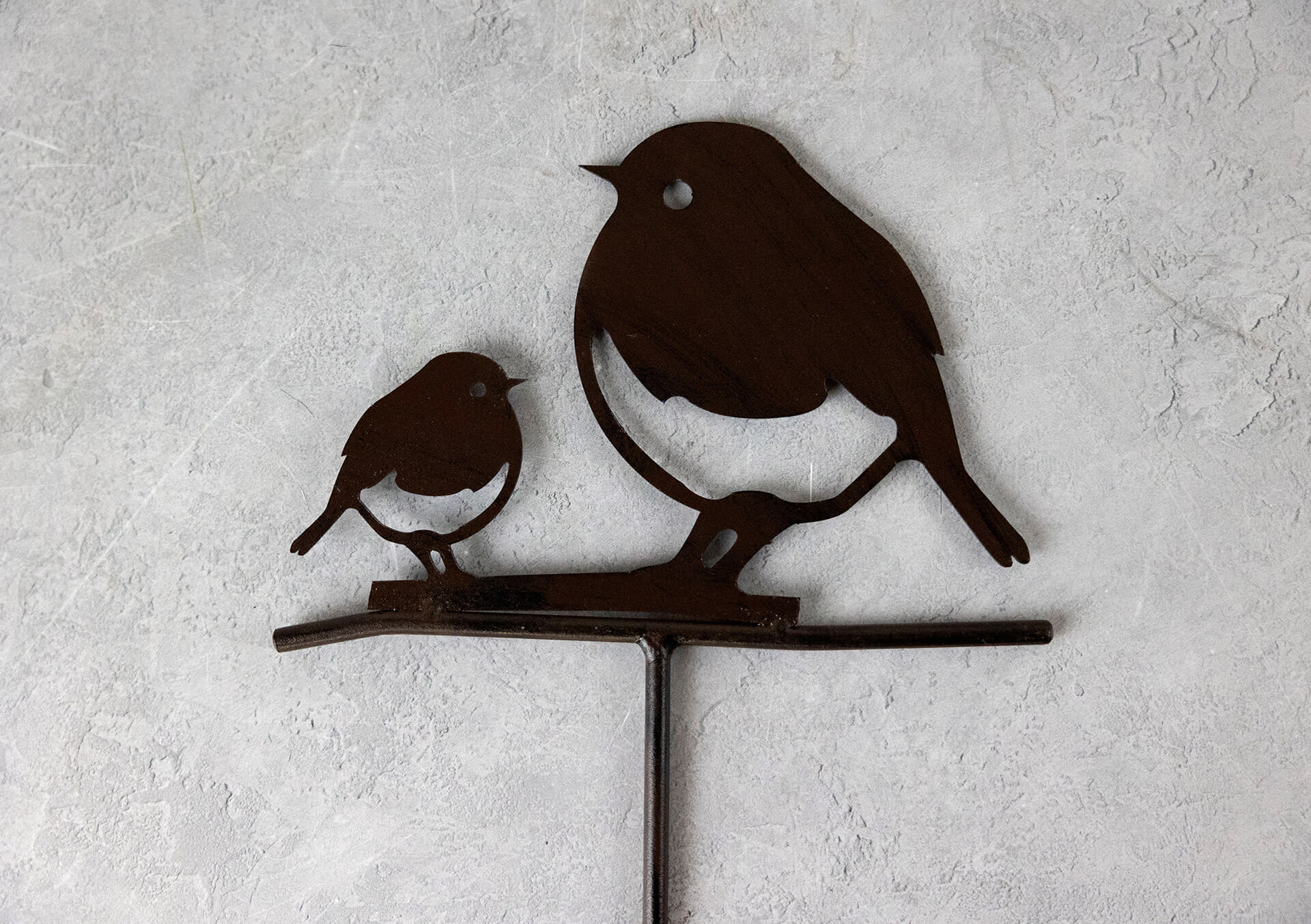 Summer Décor & Entertaining | Bachman's