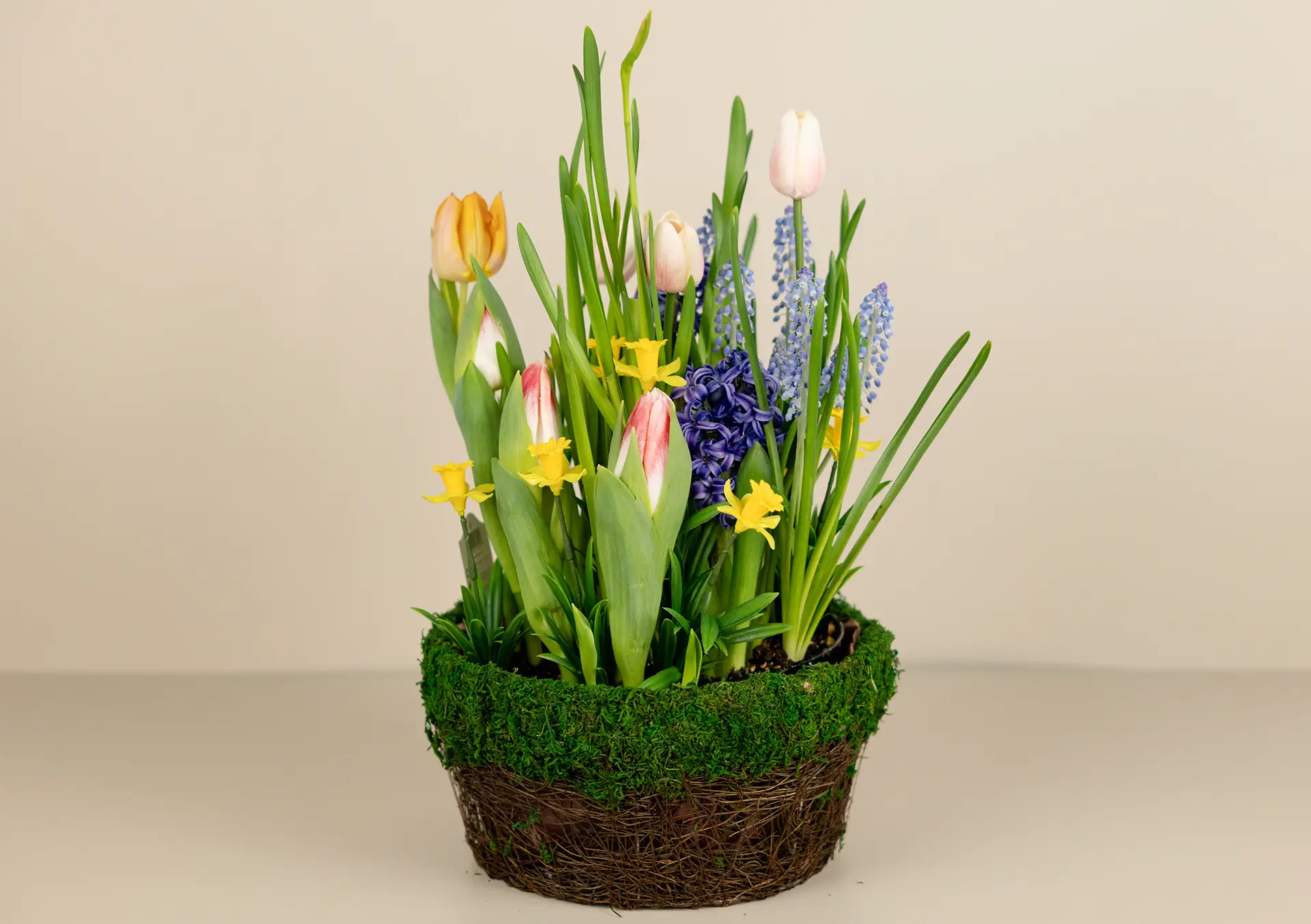 Bachman's Garden Center & Flower Delivery in Minneapolis | Local MN ...