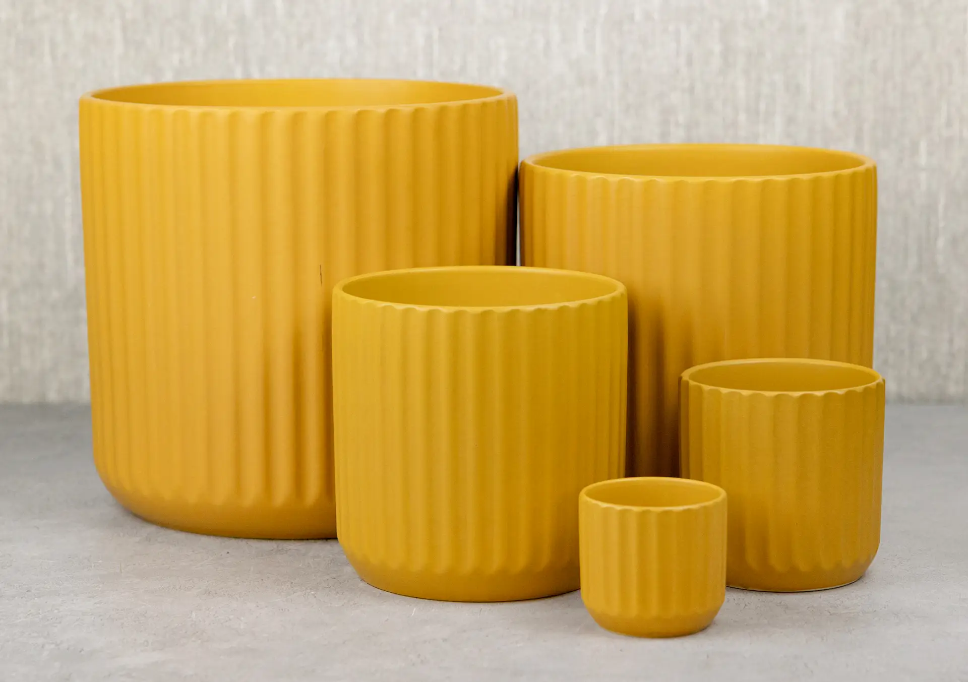 Indoor Decorative Pots and Planters for Sale in Minnesota at Bachman's