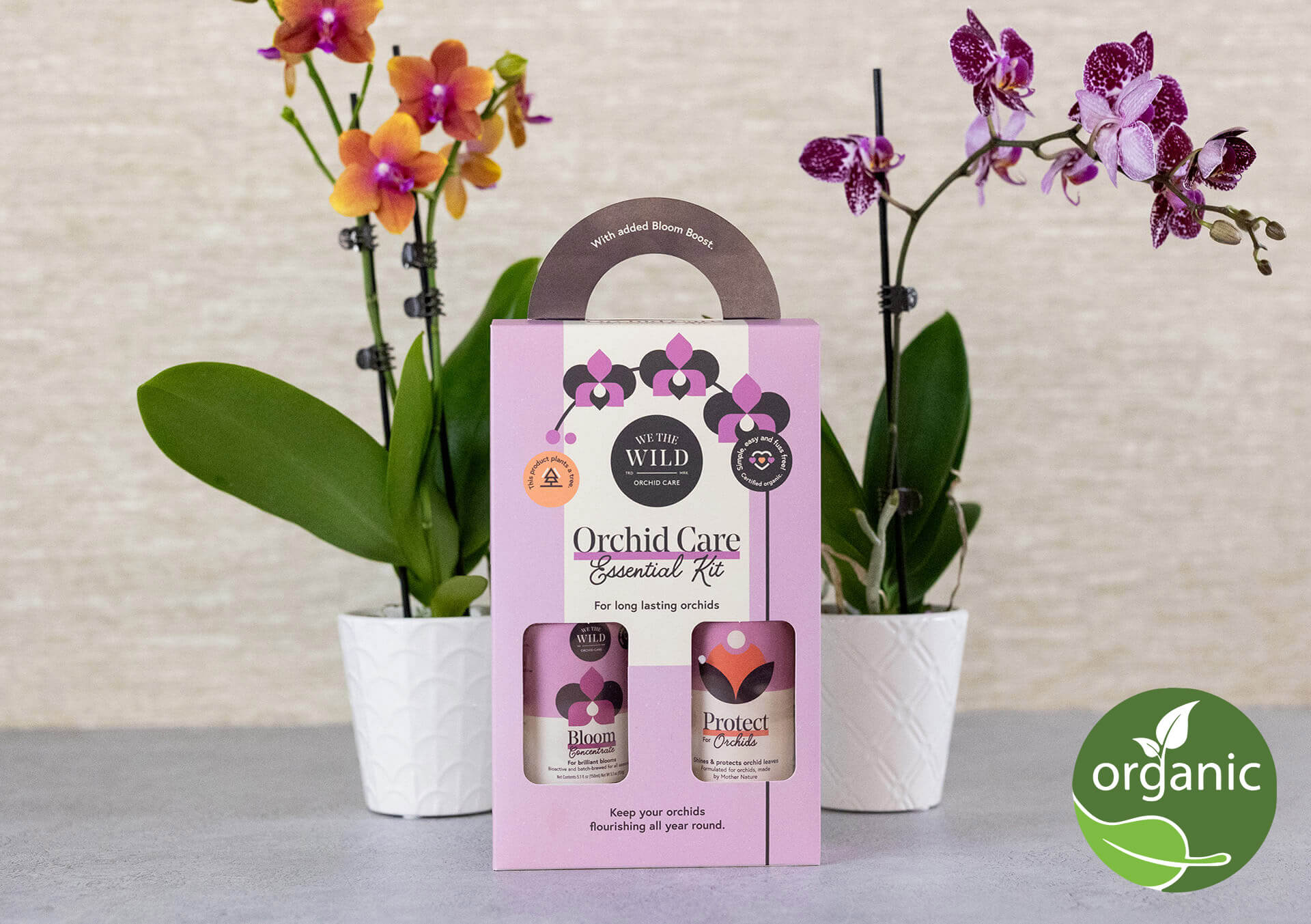 Indoor Plant Accessories for Sale in Minnesota at Bachman's