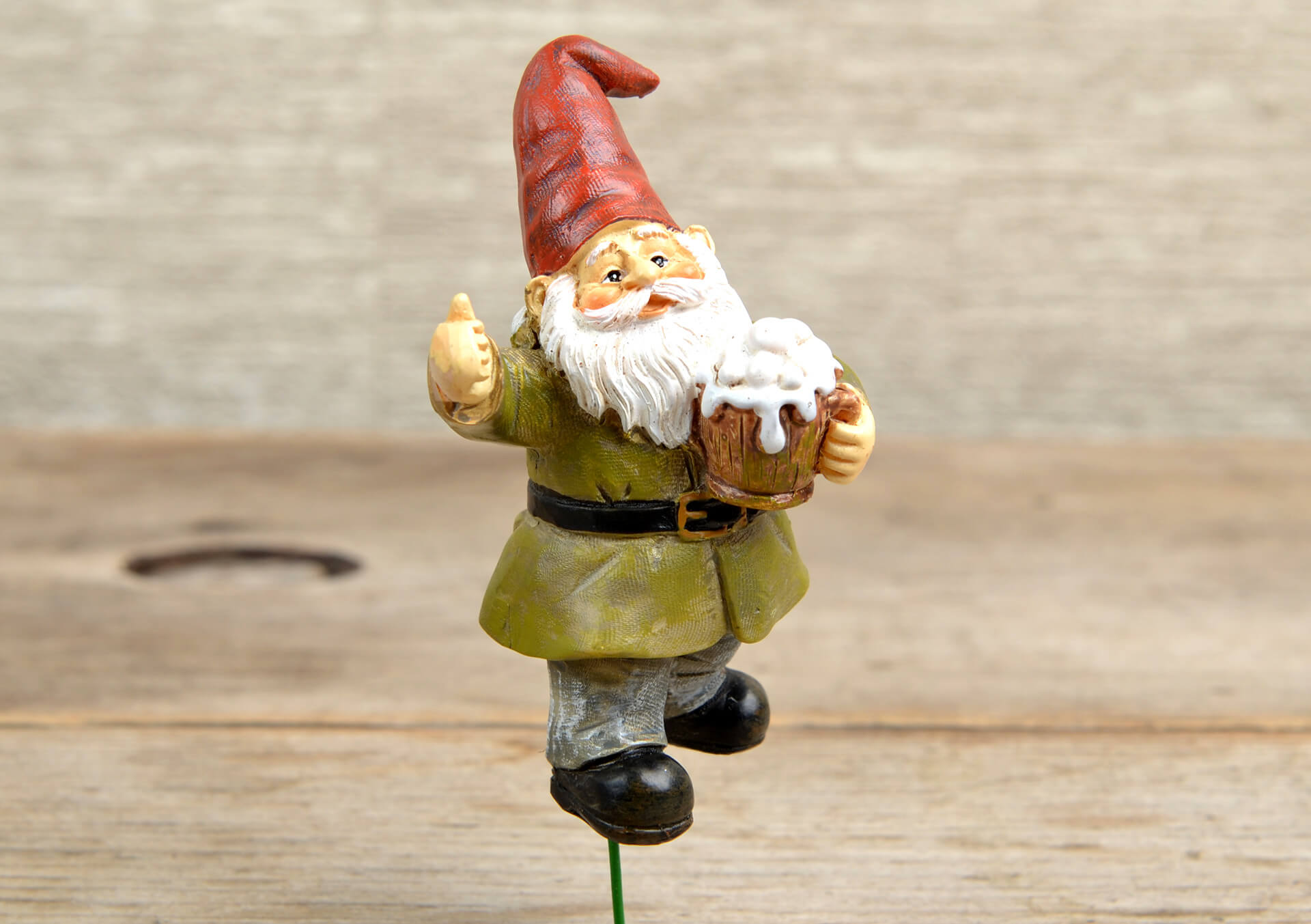 Miniature Garden and Terrarium Plants and Supplies for Sale in ...