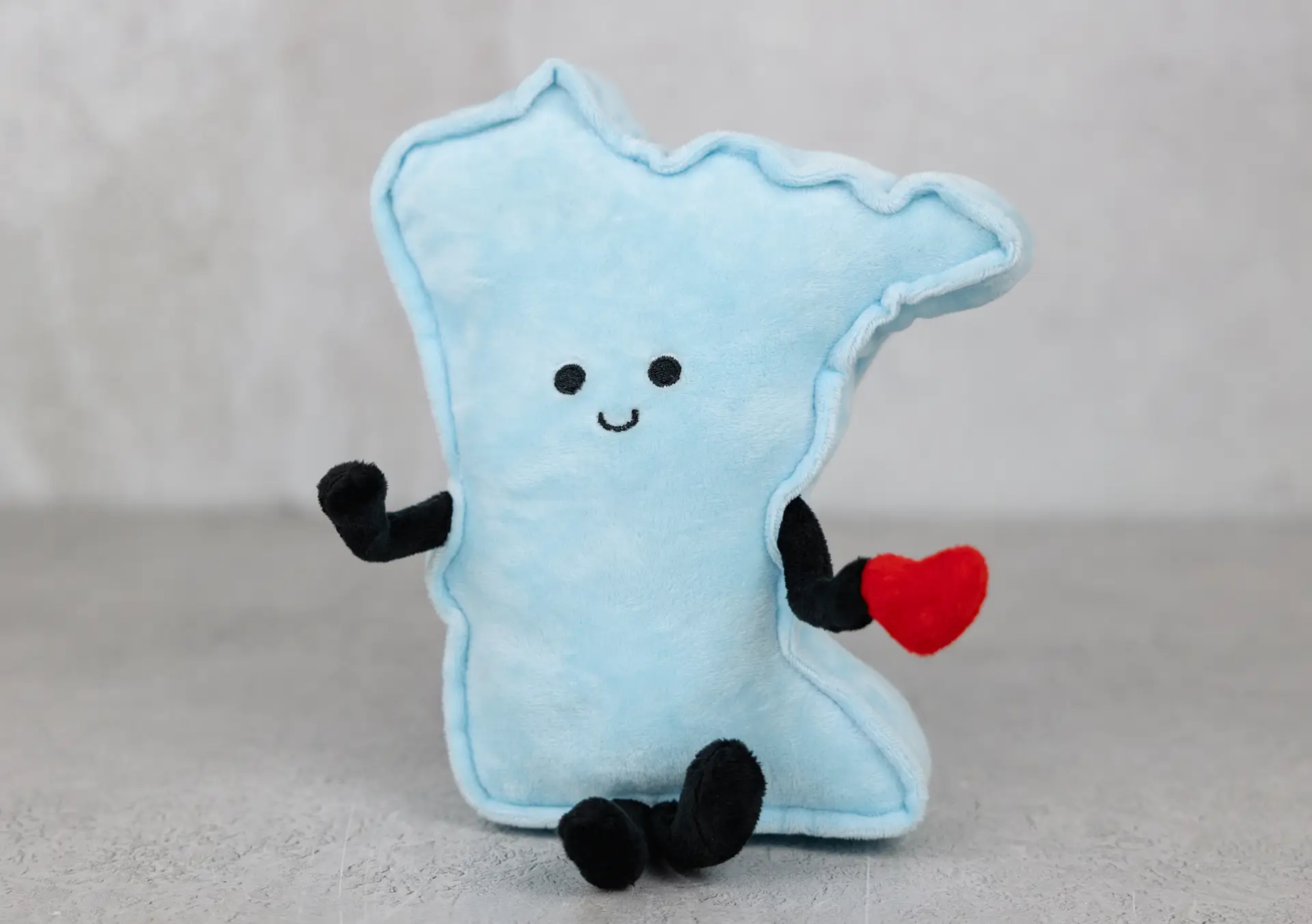 Shop for Minnesota Gifts and Home Decor at Bachman's