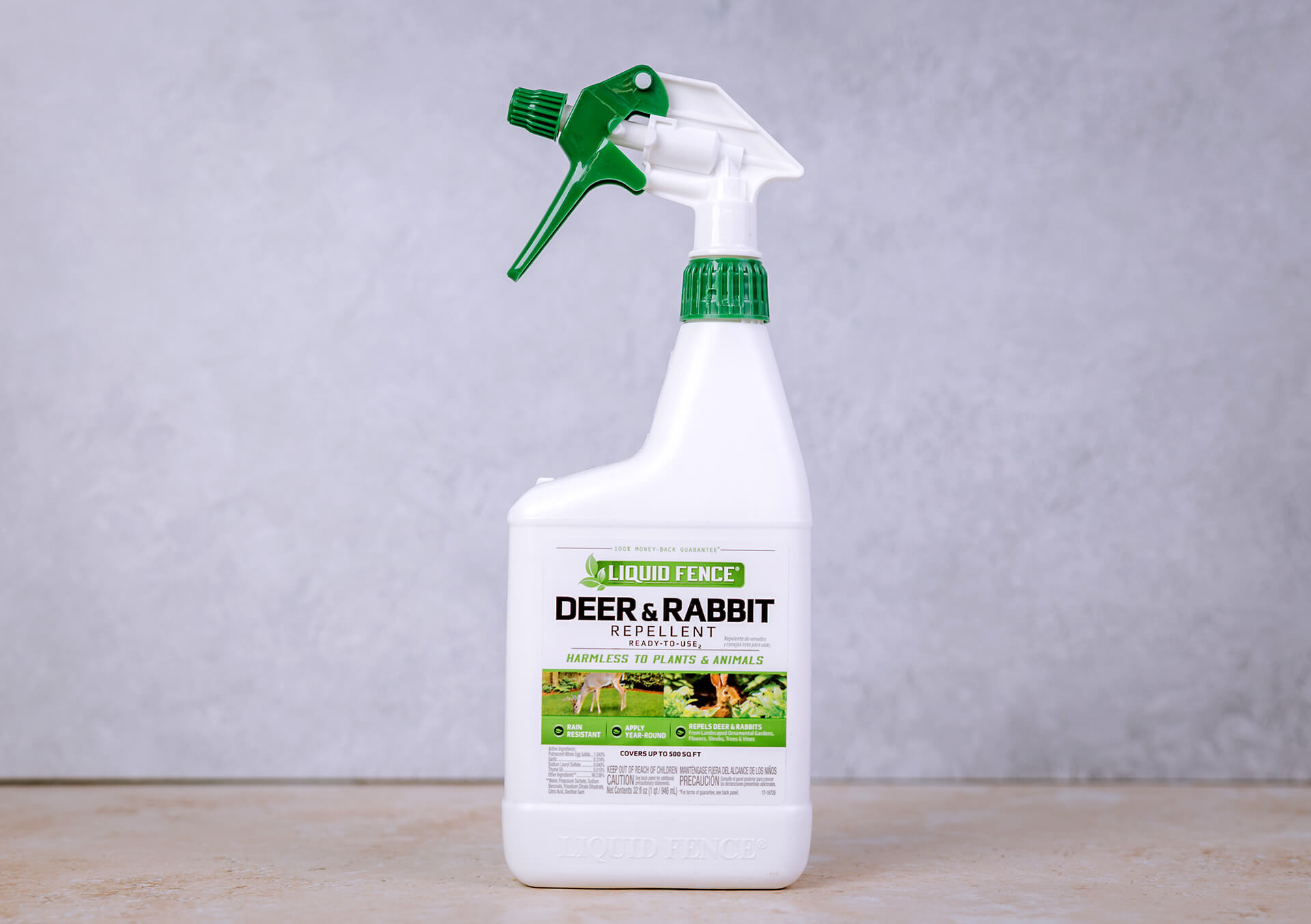 Shop Fall Flowers, Mums and Autumn Décor at Bachman's