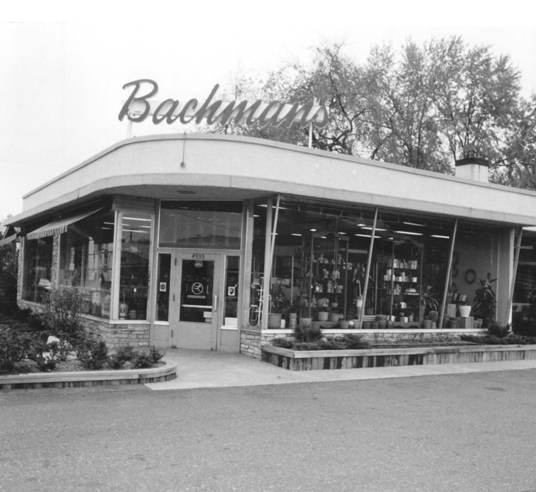 Bachman's