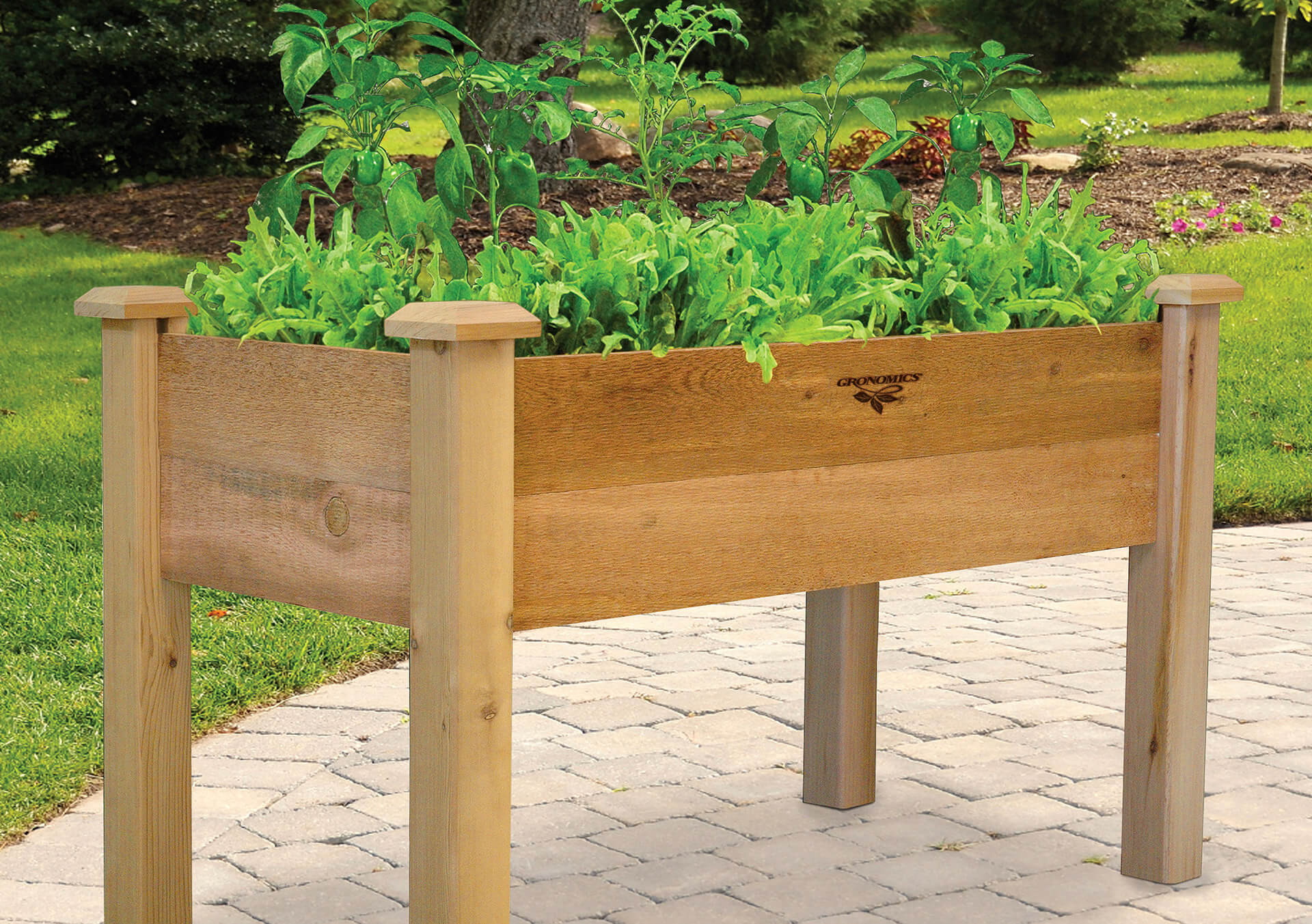 Shop Raised Garden Beds For Veggies And Herbs | Bachman's