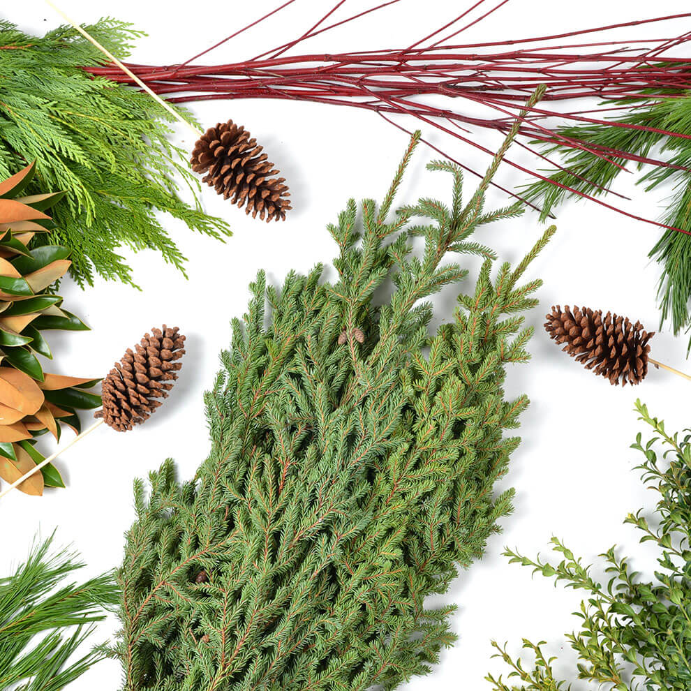 Minneapolis Flower Delivery | Bachman's Floral, Home and Garden