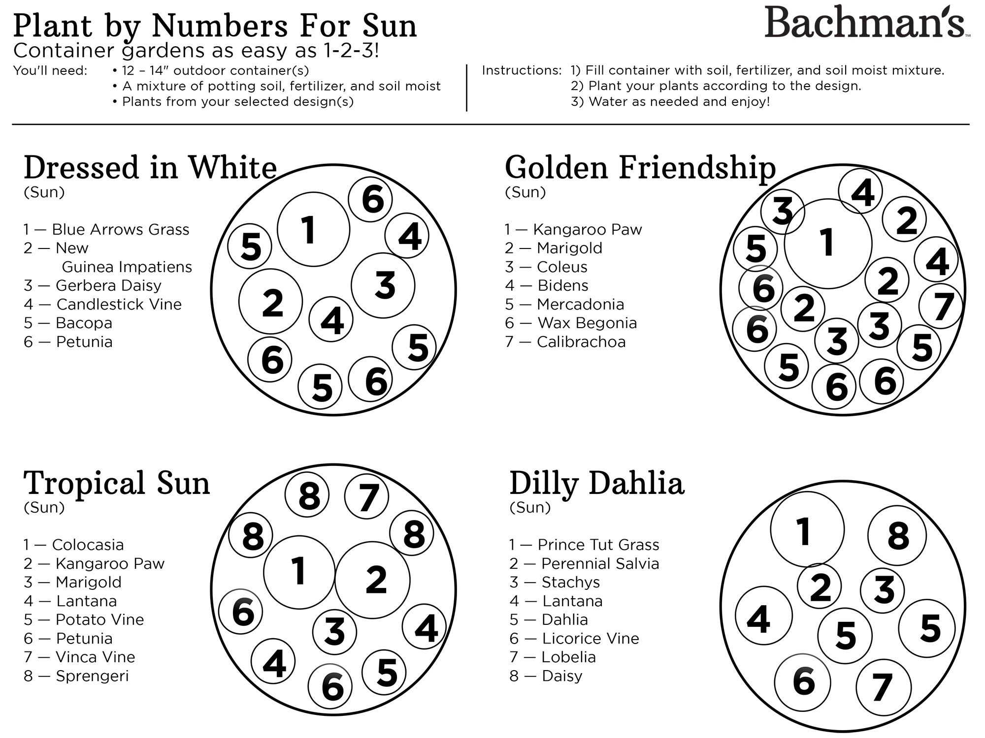Plant By Numbers Container Gardens, Bachman's Minnesota