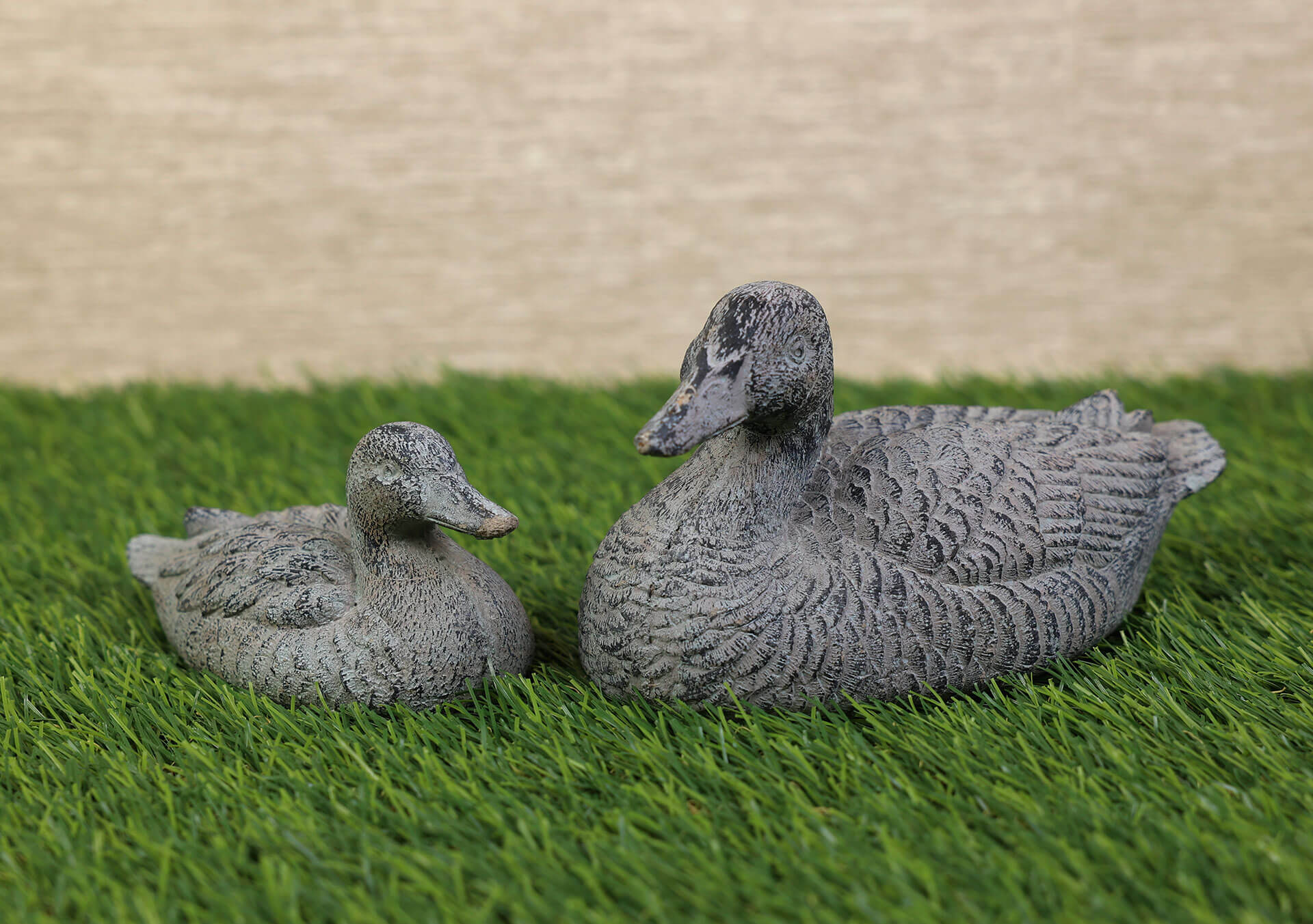 Summer Décor & Entertaining | Bachman's