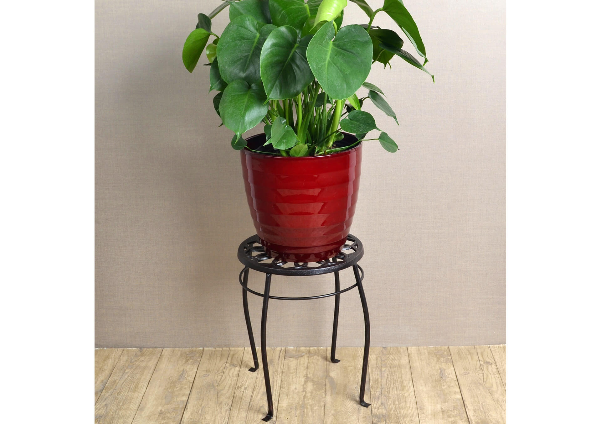 Indoor Decorative Pots and Planters for Sale in Minnesota at Bachman's