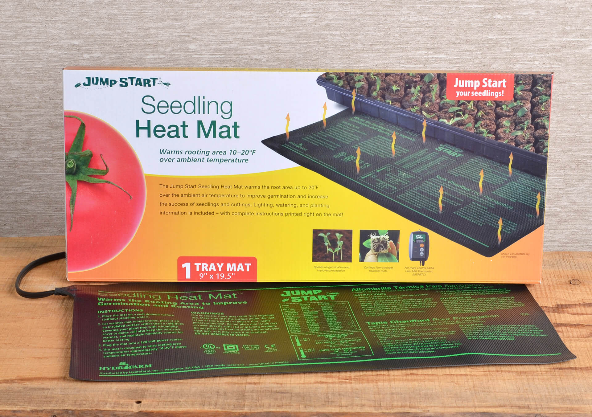 Seeds and Bulbs for Sale in Minnesota at Bachman's