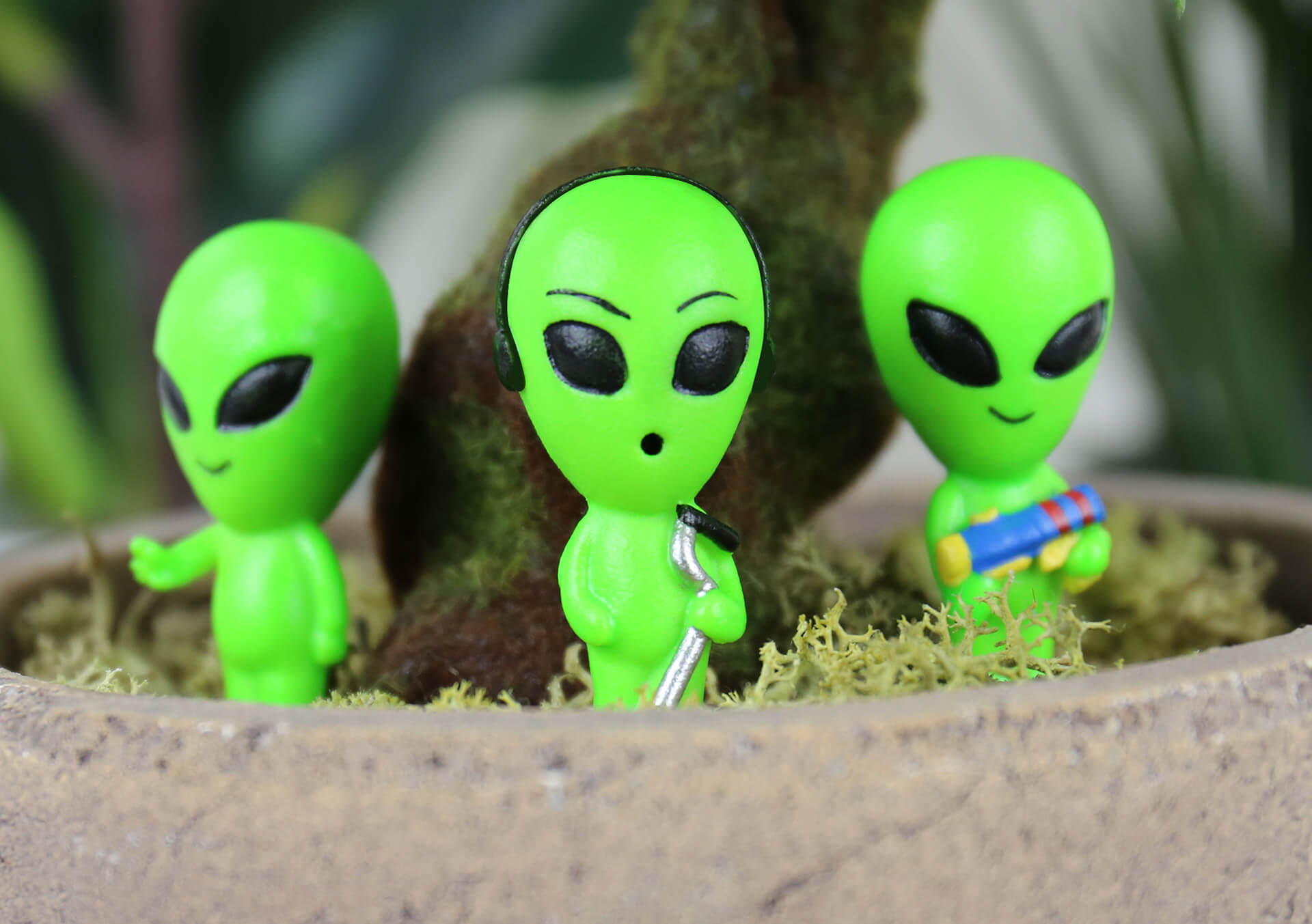 Gifts for the Plant Parent