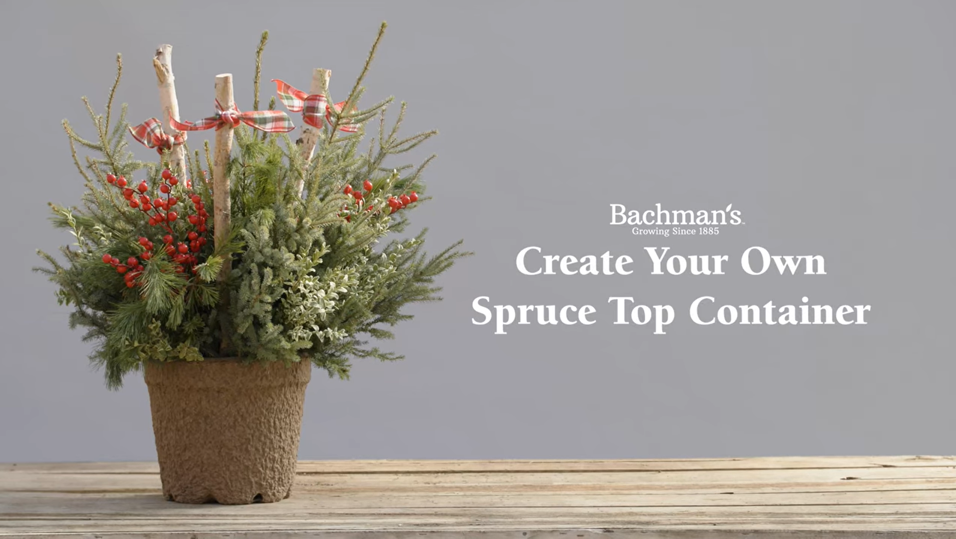 Bachman's Garden Center & Flower Delivery in Minneapolis | Local MN ...
