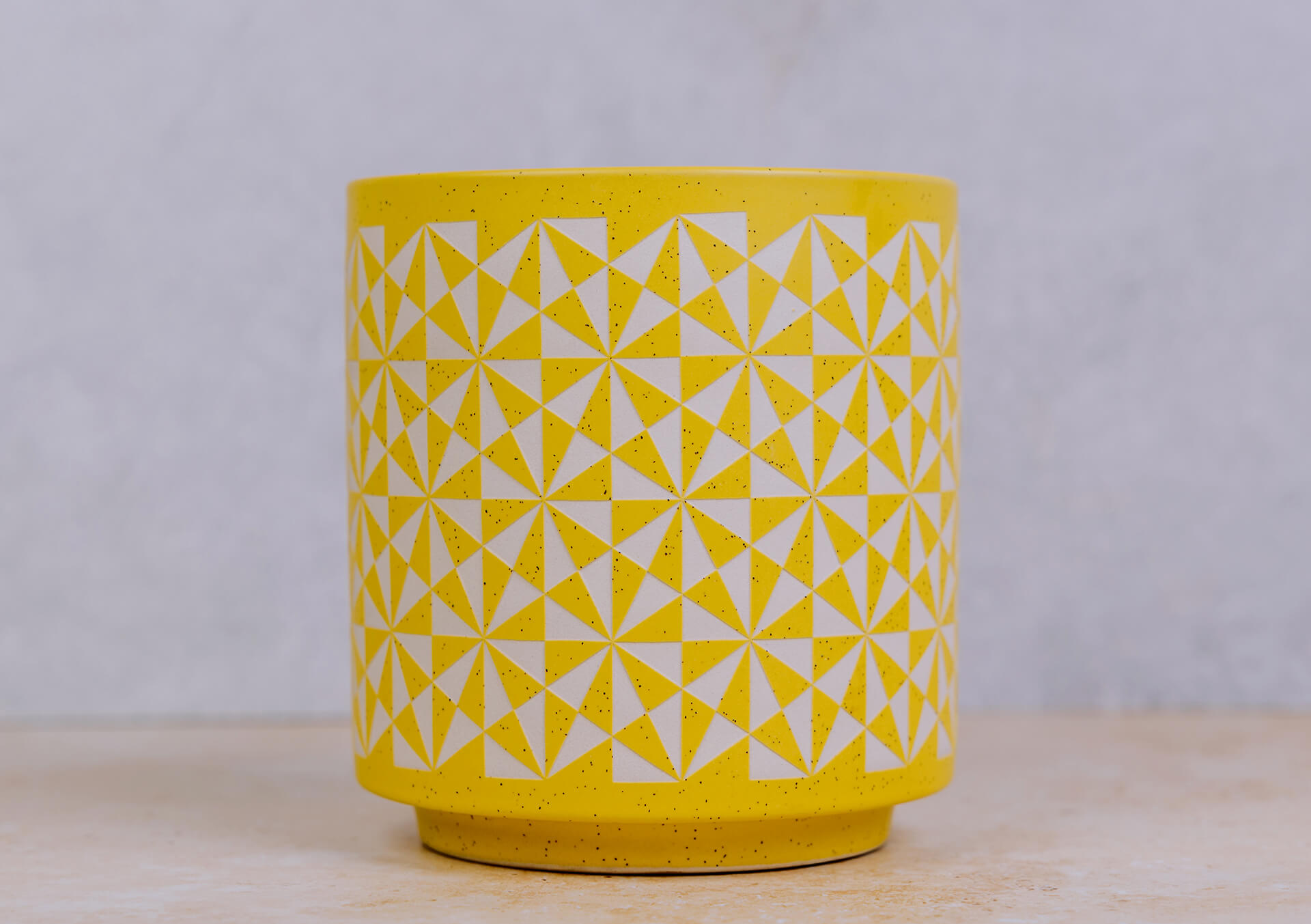 Indoor Decorative Pots and Planters for Sale in Minnesota at Bachman's