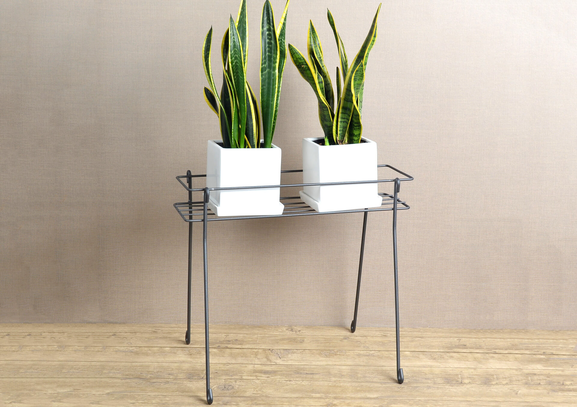 Indoor Decorative Pots and Planters for Sale in Minnesota at Bachman's