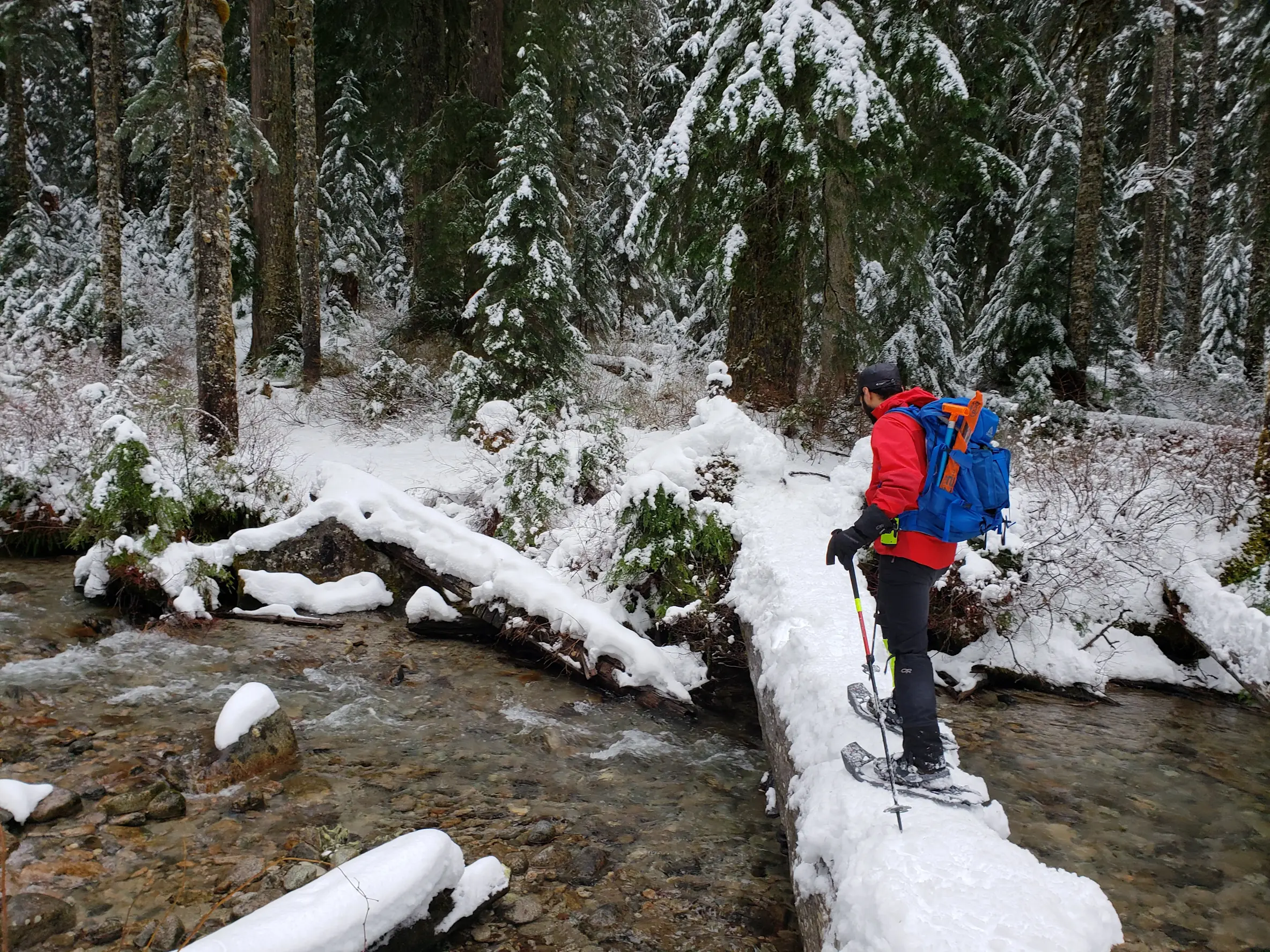 Our Favorite Snowshoe Hikes in Washington State - AdventureTripr