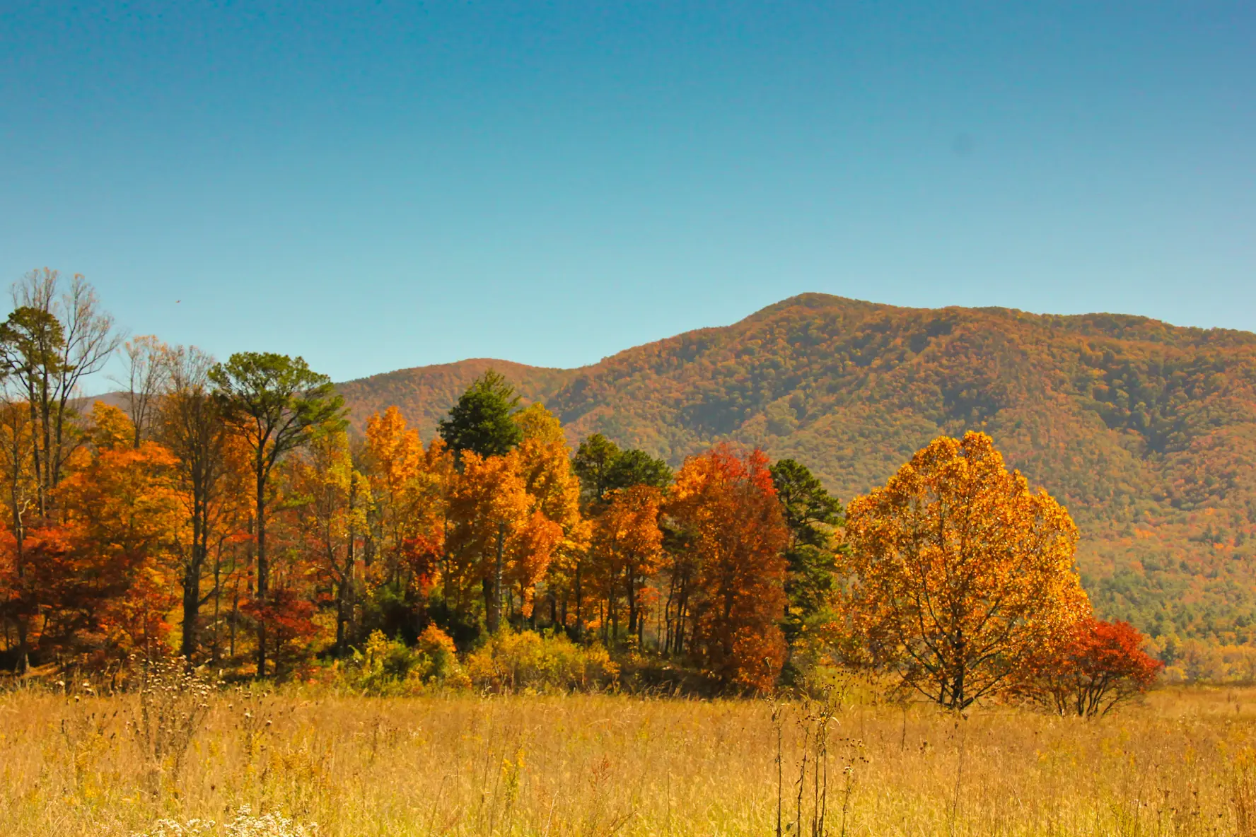 12 Best Mountain Towns In The U.S. To See Fall Foliage – AWBR