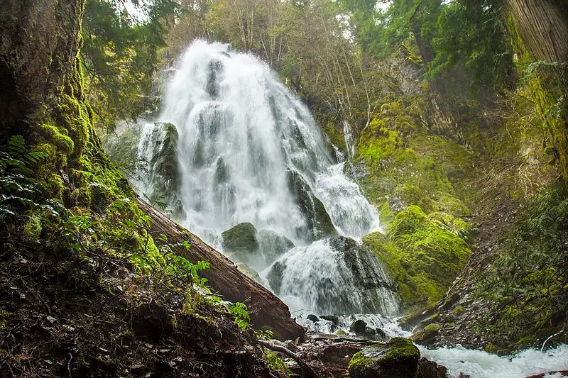 Top 10 Waterfall Hikes in Oregon - AdventureTripr