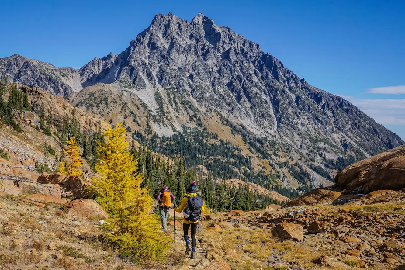 Essential Guide to the Golden Larch Hikes of Washington State