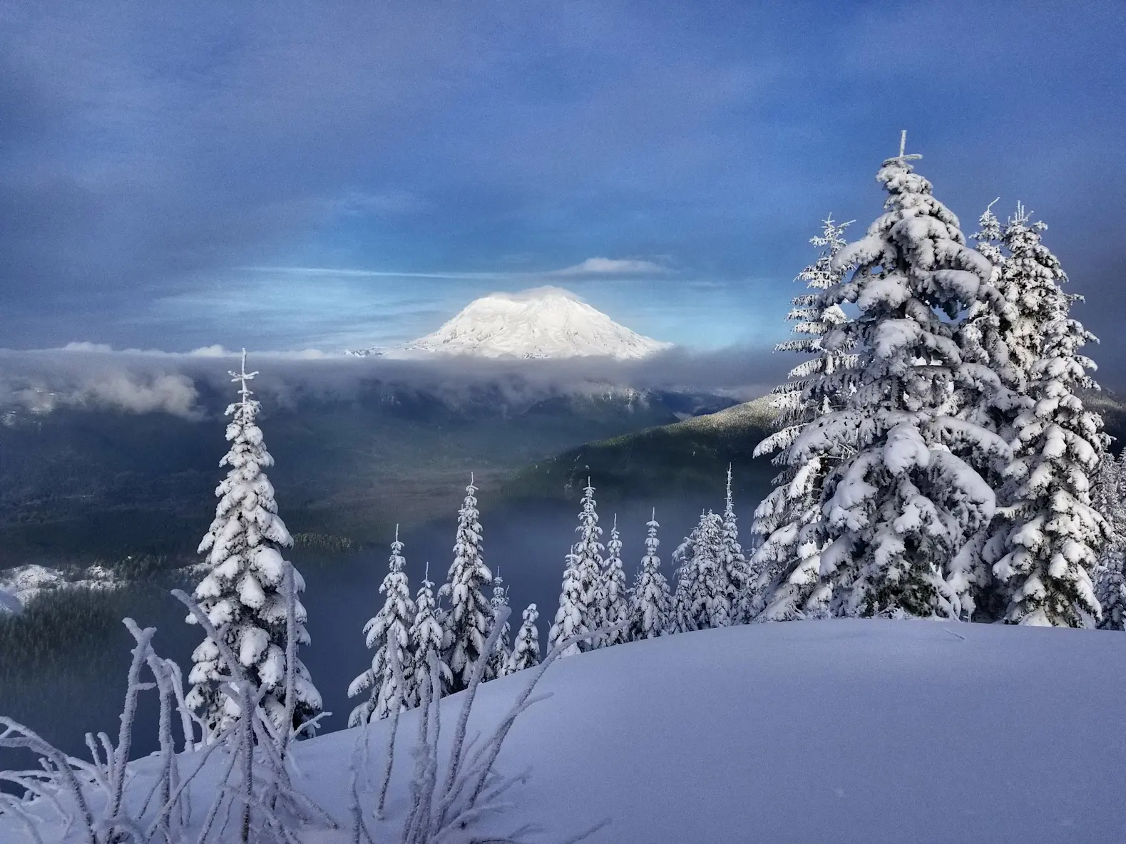 Our Favorite Snowshoe Hikes in Washington State - AdventureTripr