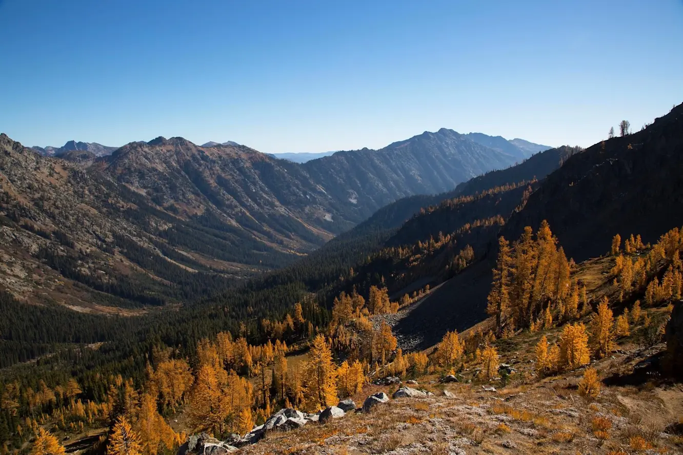 Essential Guide to the Golden Larch Hikes of Washington State