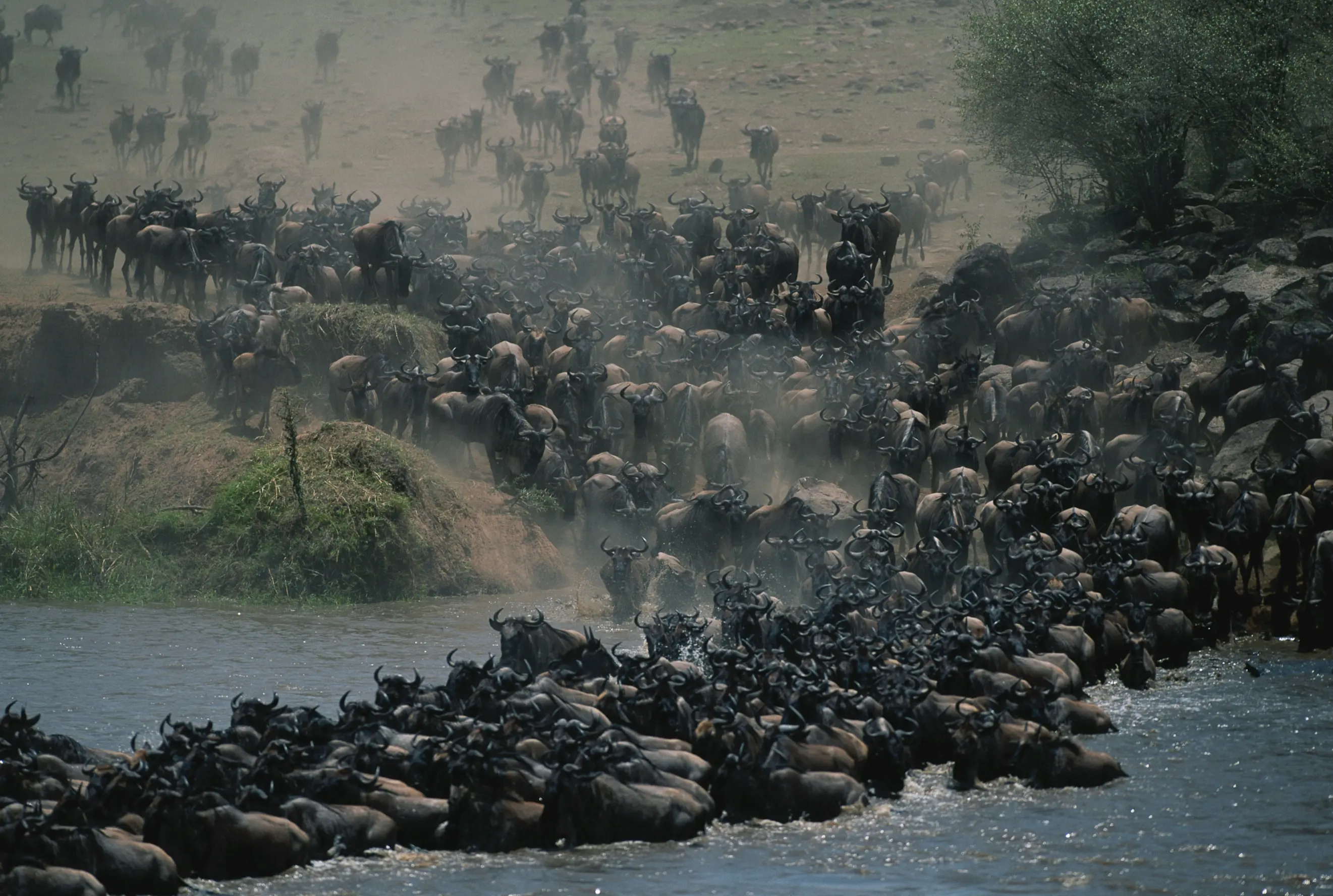 Top 10 Safari Destinations Worldwide