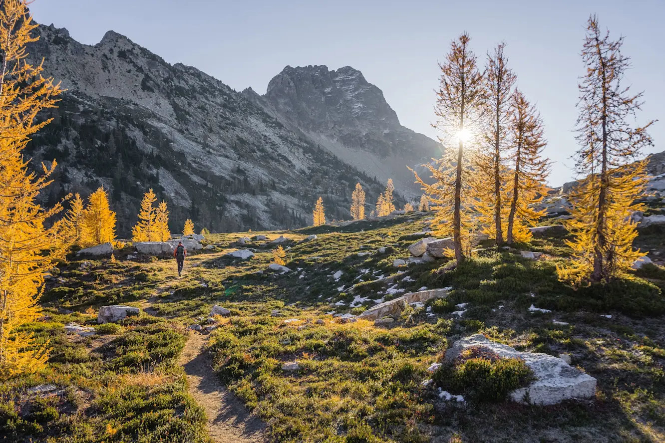 Essential Guide to the Golden Larch Hikes of Washington State