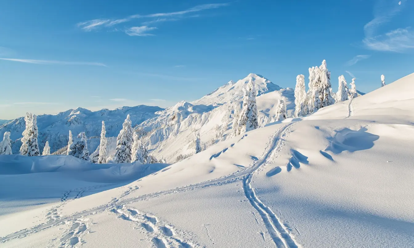The Best Winter Hikes in Washington - AdventureTriprrr