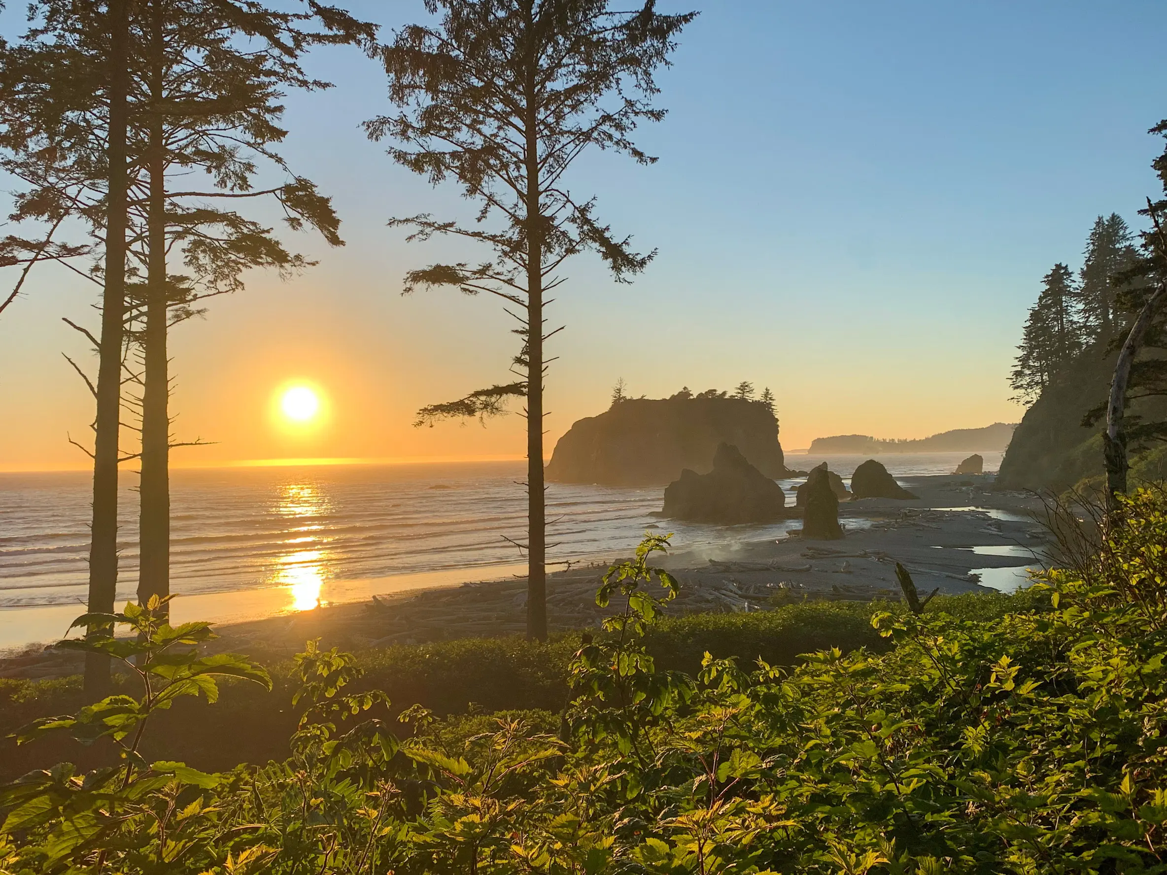 The Best Hikes in Olympic National Park - AdventureTriprrr
