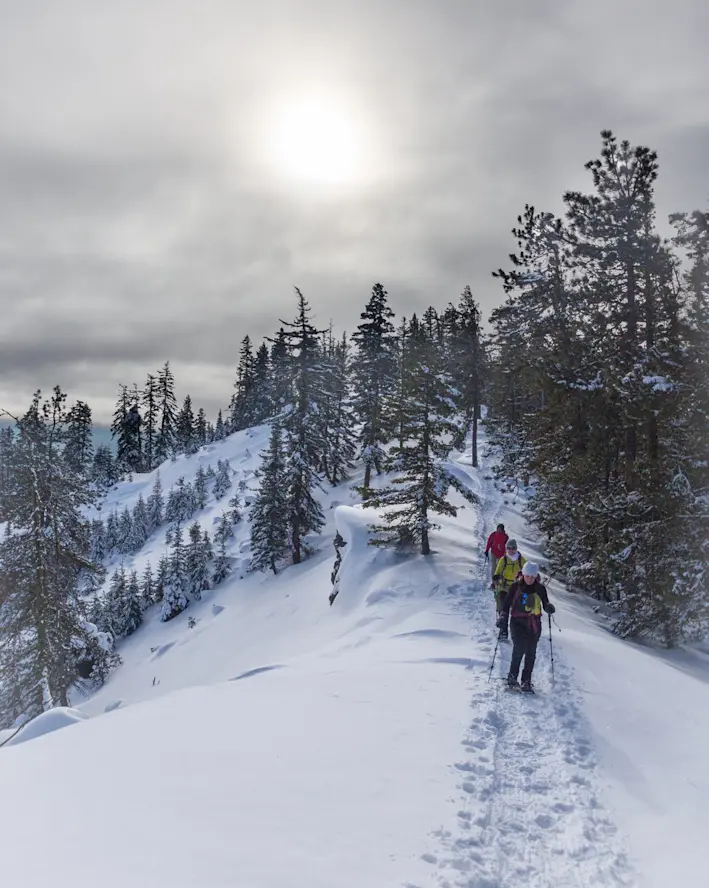 Our Favorite Snowshoe Hikes in Washington State - AdventureTripr