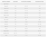 Plant Analysis Nutrient Management Mosaic Crop Nutrition