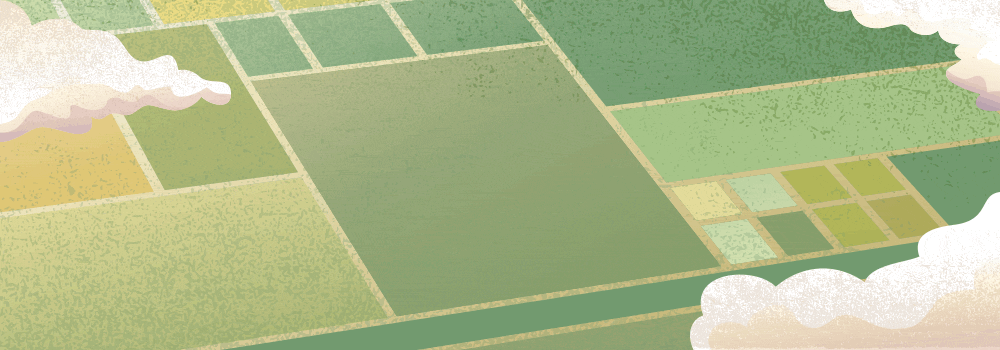 5 Soil Sampling Tips | Mosaic Crop Nutrition