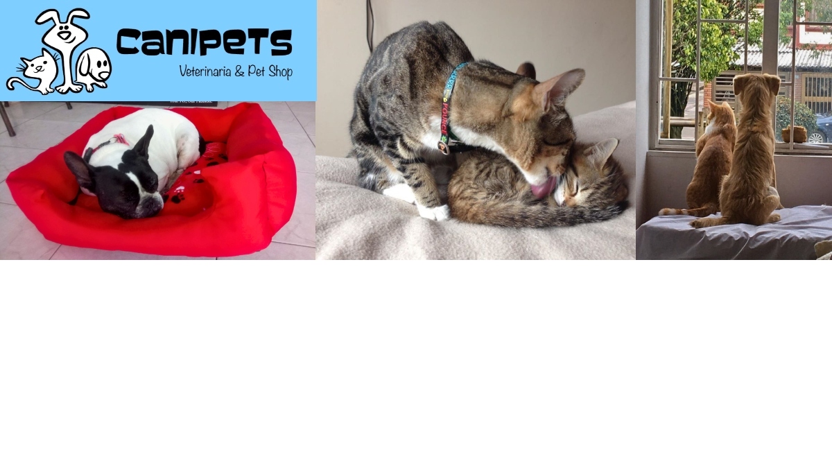 Canipets