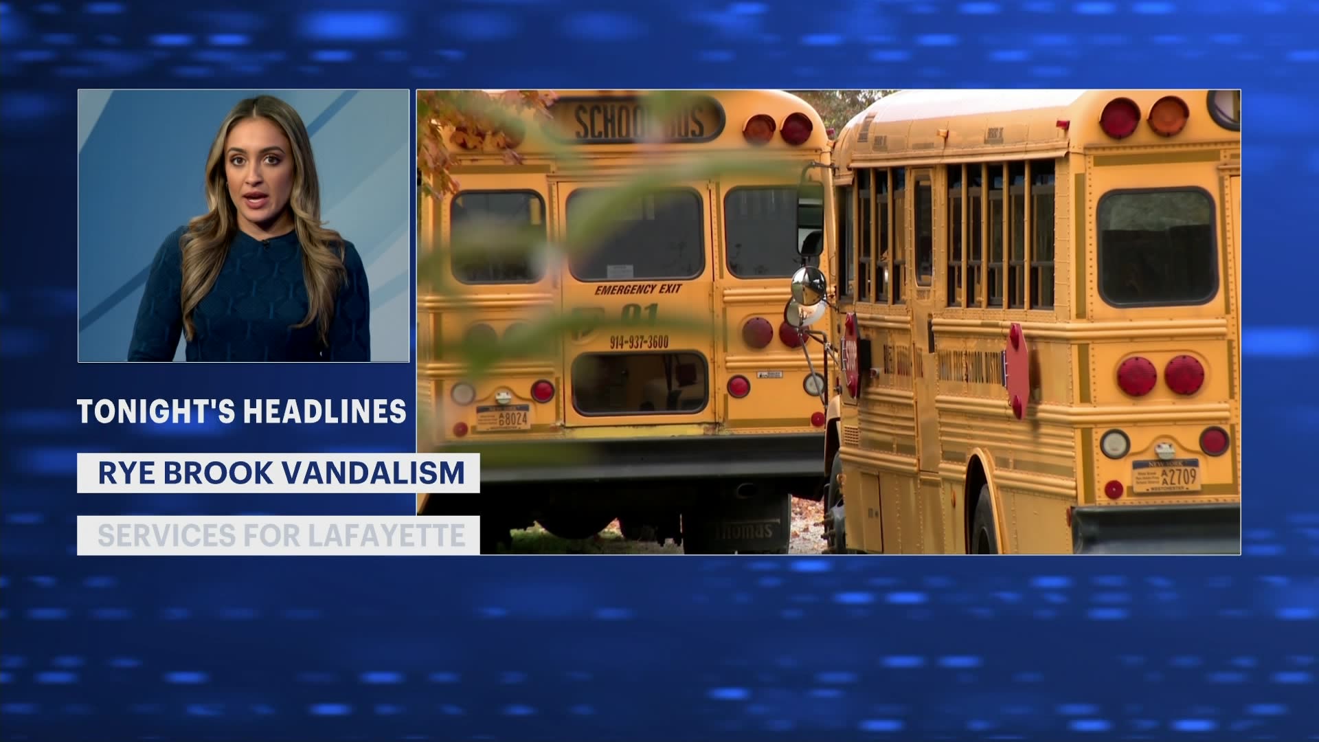 Rye Brook police seek suspects in serial vandalism investigation