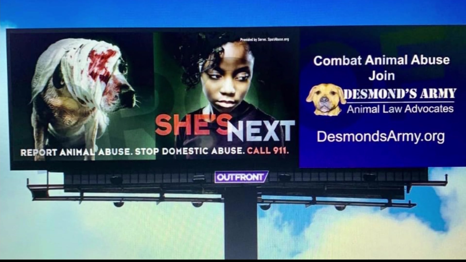 ‘Report Animal Abuse. Stop Domestic Abuse’ – Desmond’s Army launches ...