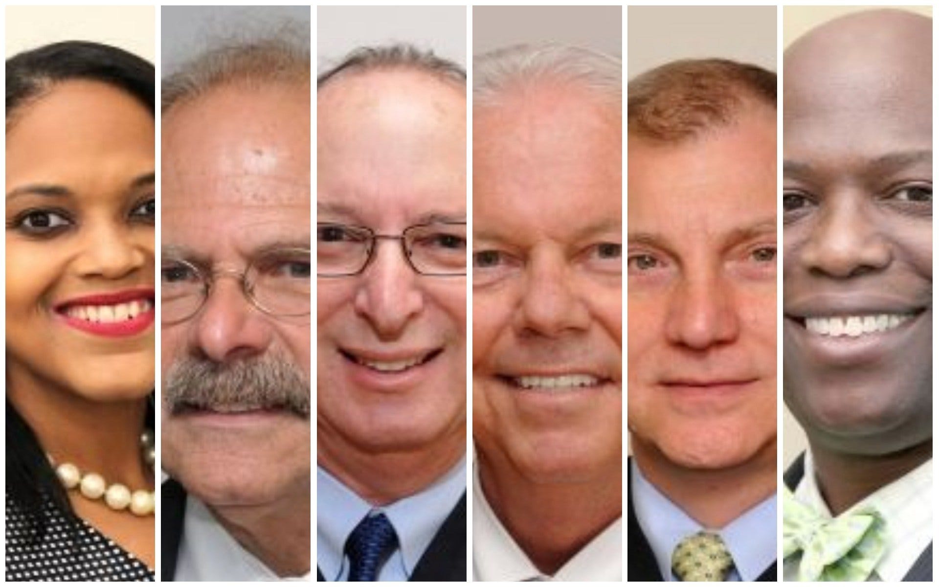 Nassau County District Court judge, 2nd District - Green