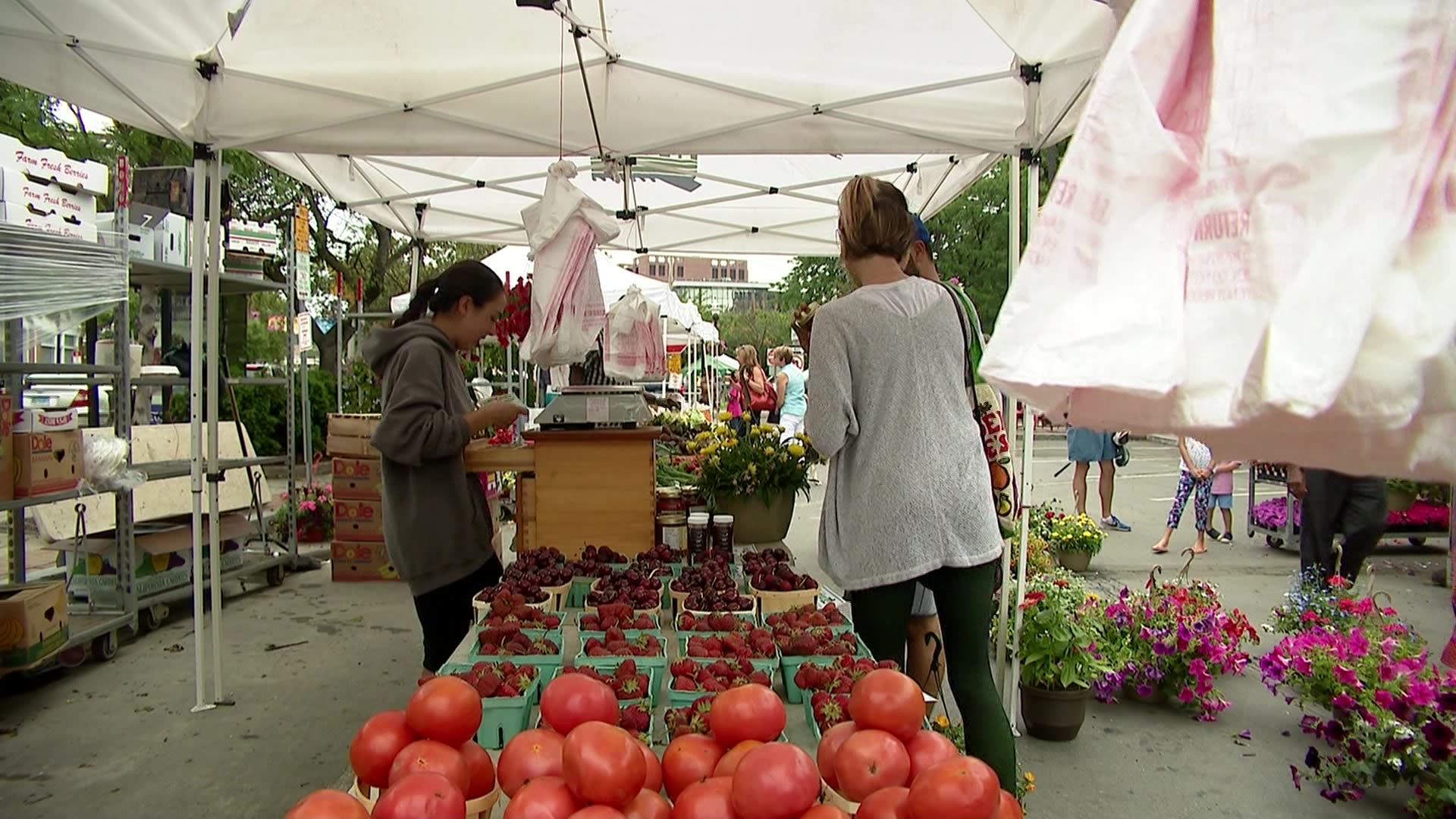 'Game-changer.' Officials announce new farmers market in food desert ...