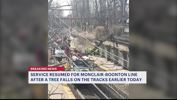 Service resumes on Montclair-Boonton Line after tree cleared from tracks