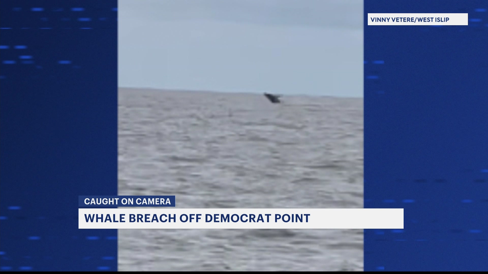 Whale spotted off Democrat Point at Fire Island