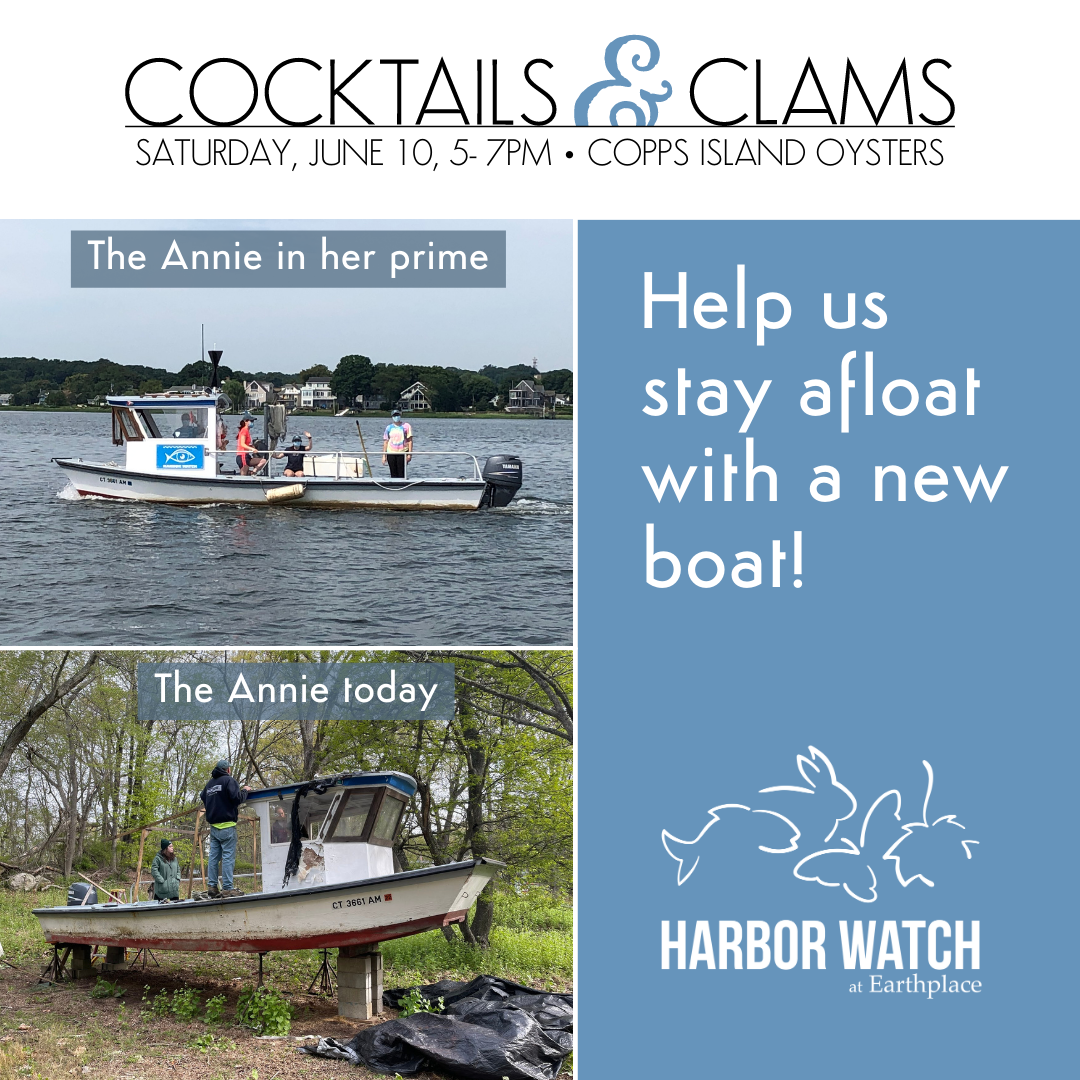 Harbor Watch at Earthplace seeks public's help after the Annie catches ...