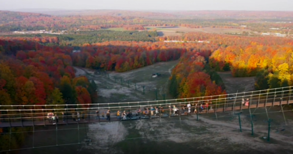 What Hot: World's longest timber-towered suspension bridge opens