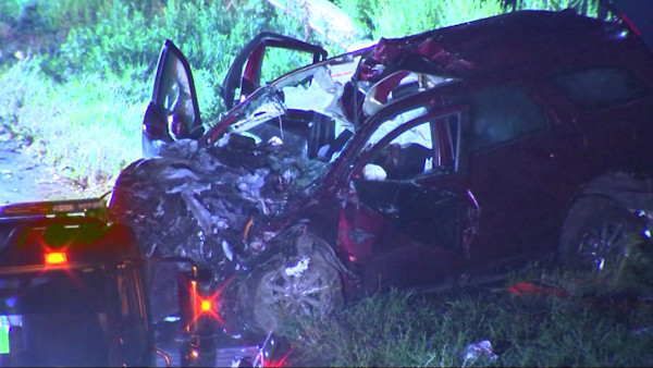 Police Bronx Man Dies In Fiery Car Crash On Sprain Brook Parkway