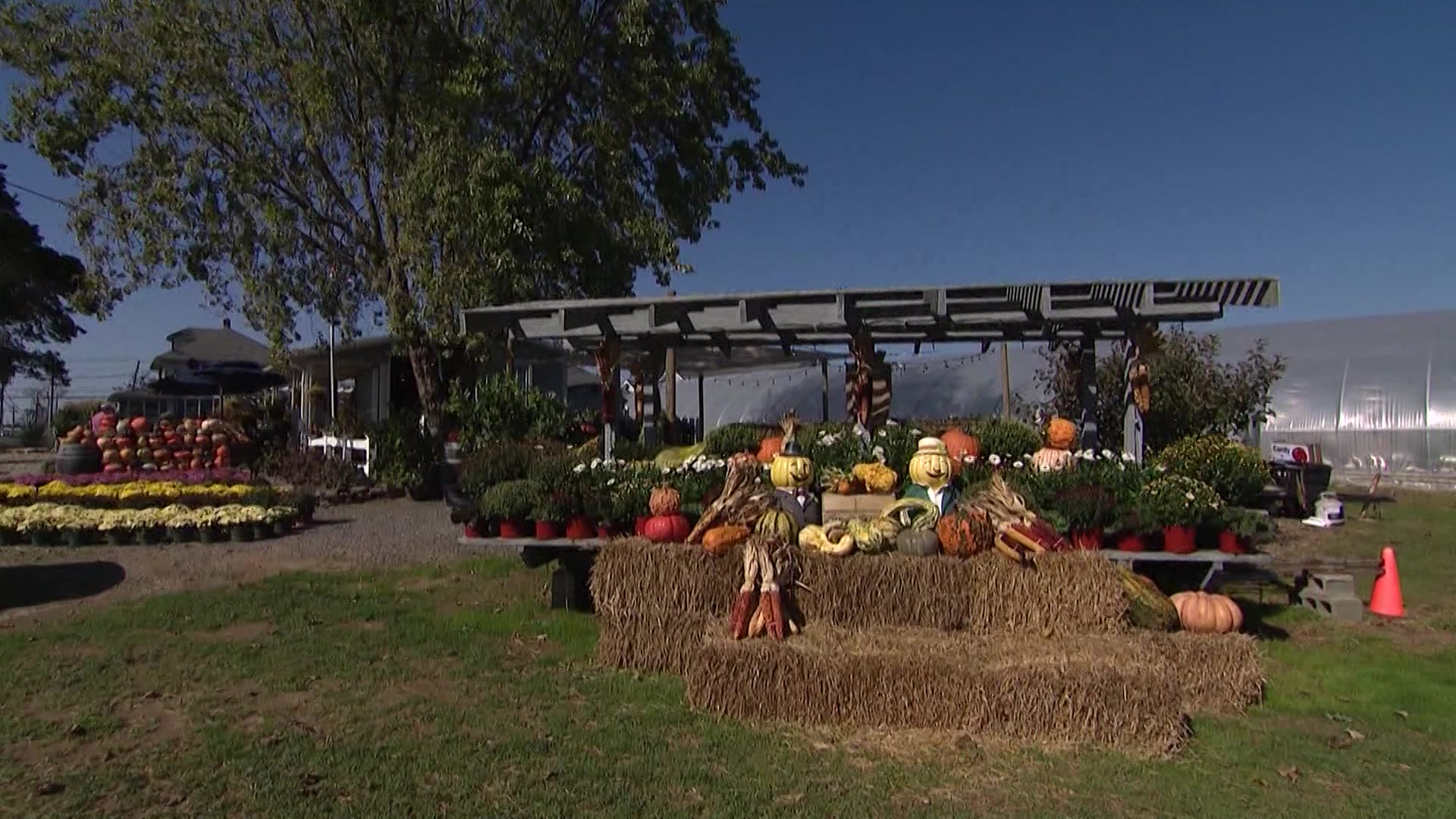 East End Full Show: Patty's Berries & Bunches, Magic Fountain, Andrews ...