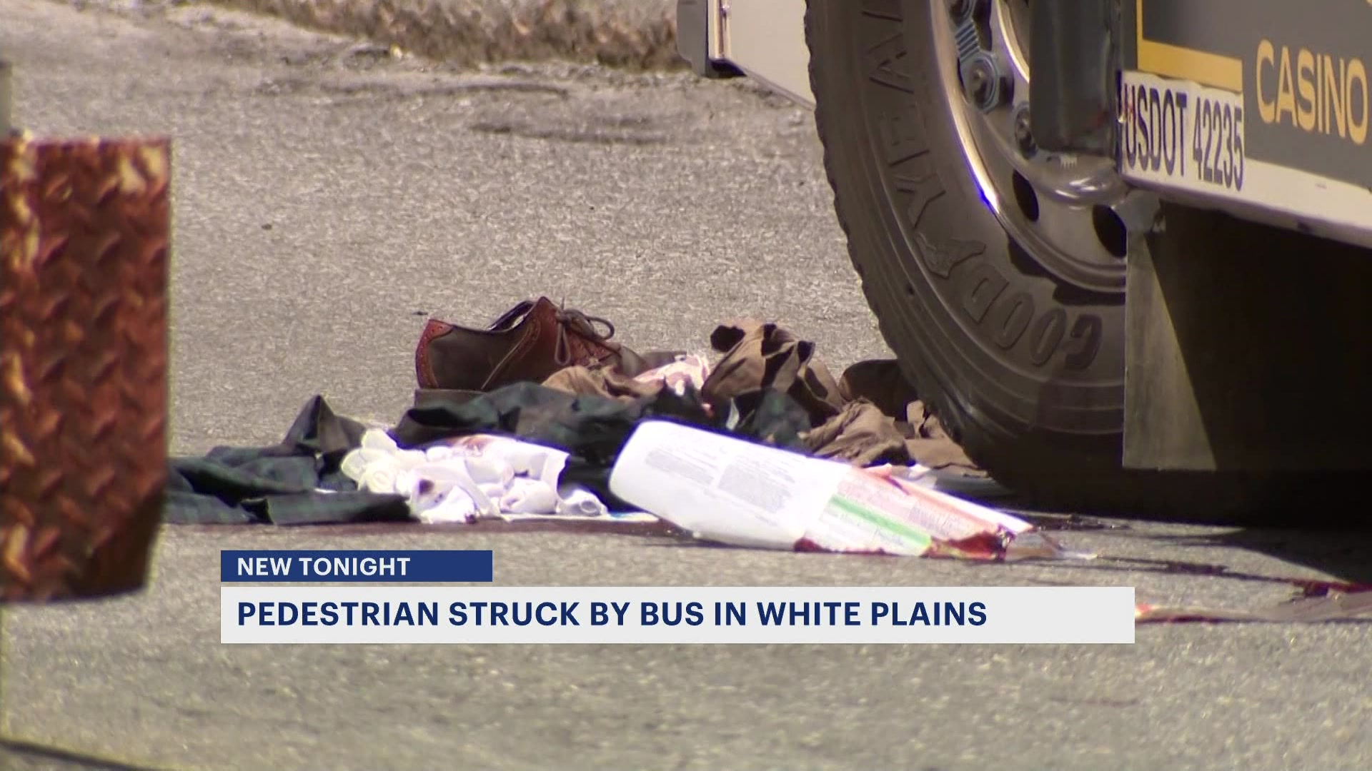Pedestrian struck, seriously injured by Bee-Line bus in White Plains