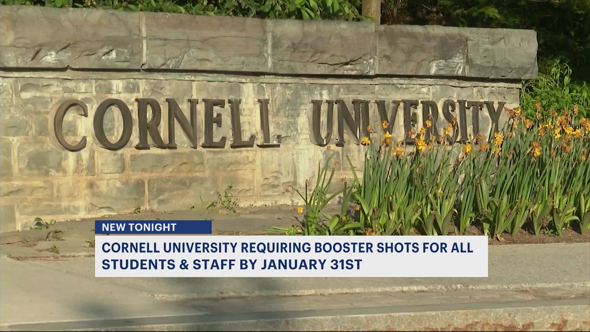 Cornell University will require COVID-19 boosters for students, faculty ...