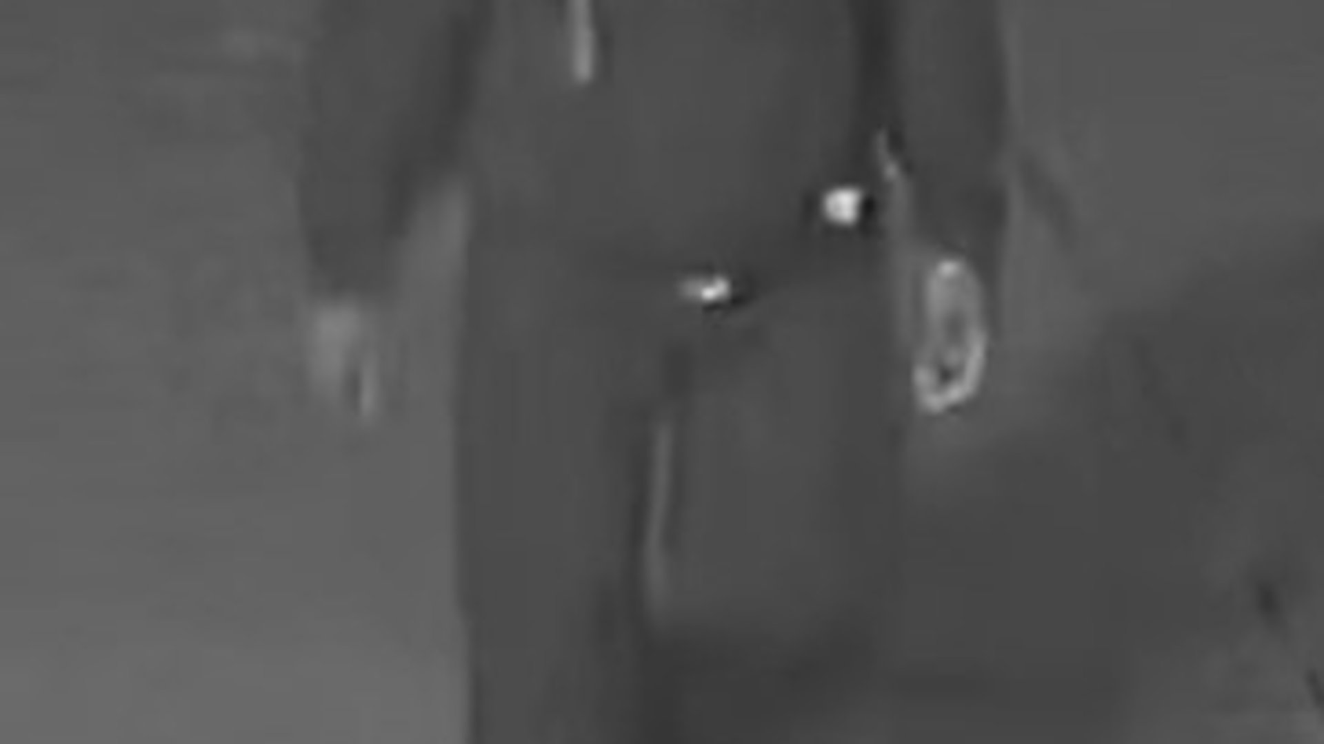 Nypd Man Wanted For Shooting 12 Year Old Girl 3 Others In Mount Hope