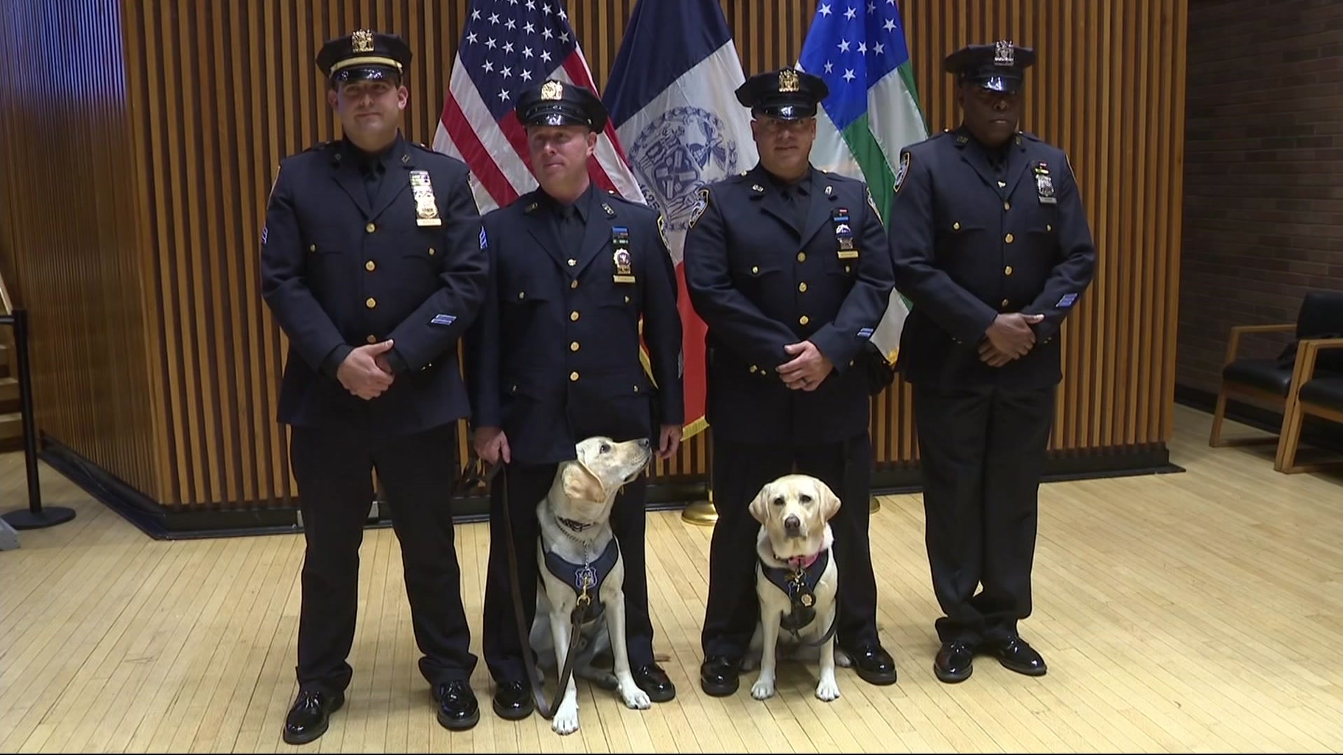 Furry members of the force: NYPD swears 4 new K-9s as support animals